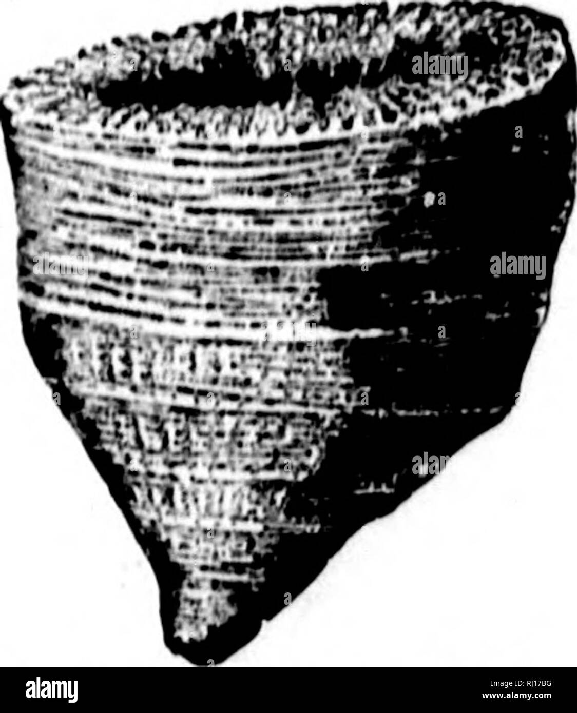 Huni ii hi-res stock photography and images - Alamy