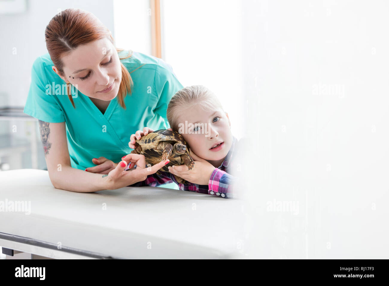 Doctor looking at girl listening to turtle at veterinary clinic Stock ...