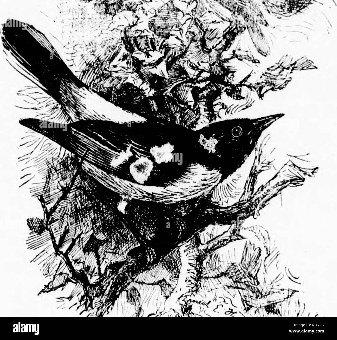 Female head tipped back hi-res stock photography and images - Alamy