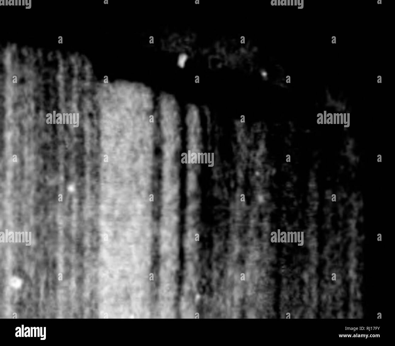 . Diptera Americae septentrionalis indigena [microform]. Diptera ...