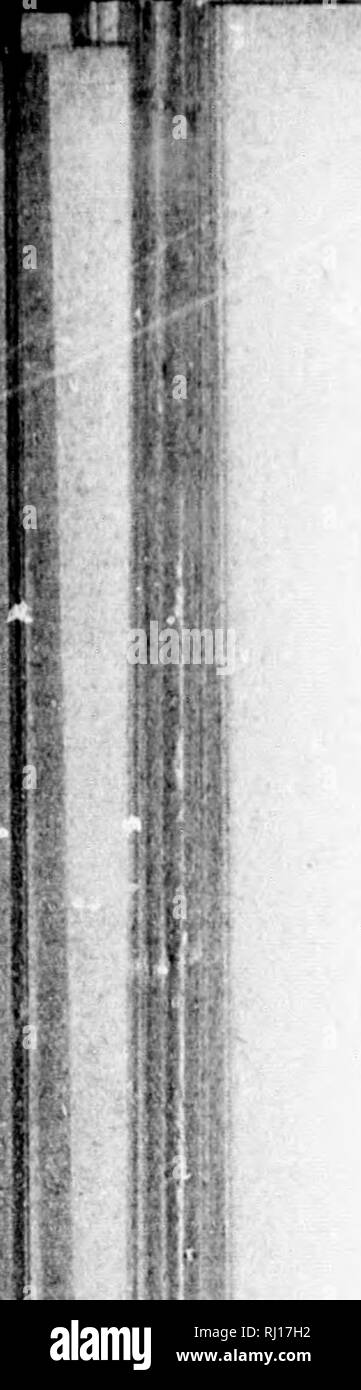 Hermit cab hi-res stock photography and images - Alamy