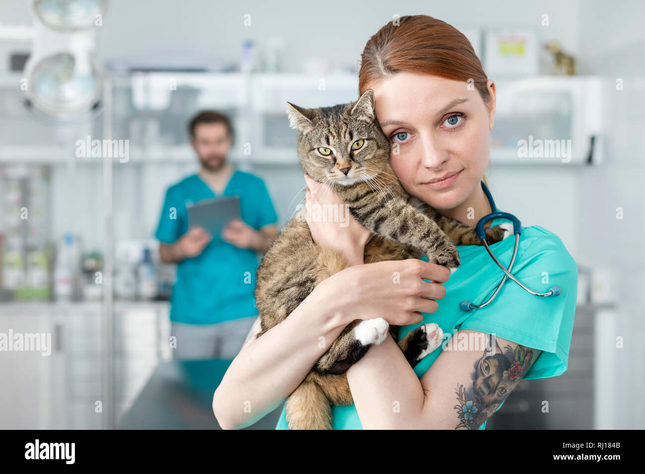 Portrait of doctor embracing cat while standing against coworker at ...