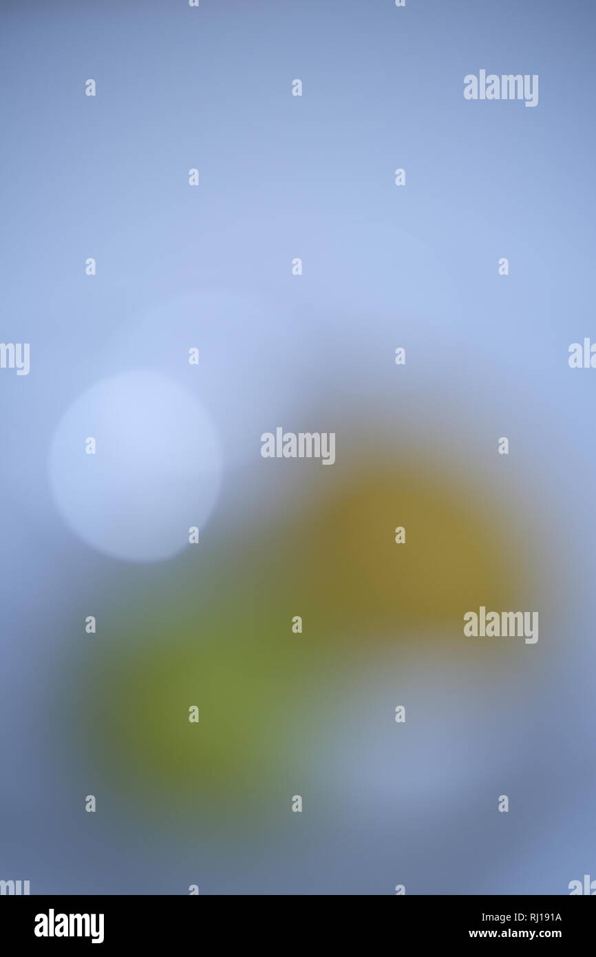 Gradient color in shape of a soft background Stock Photo - Alamy