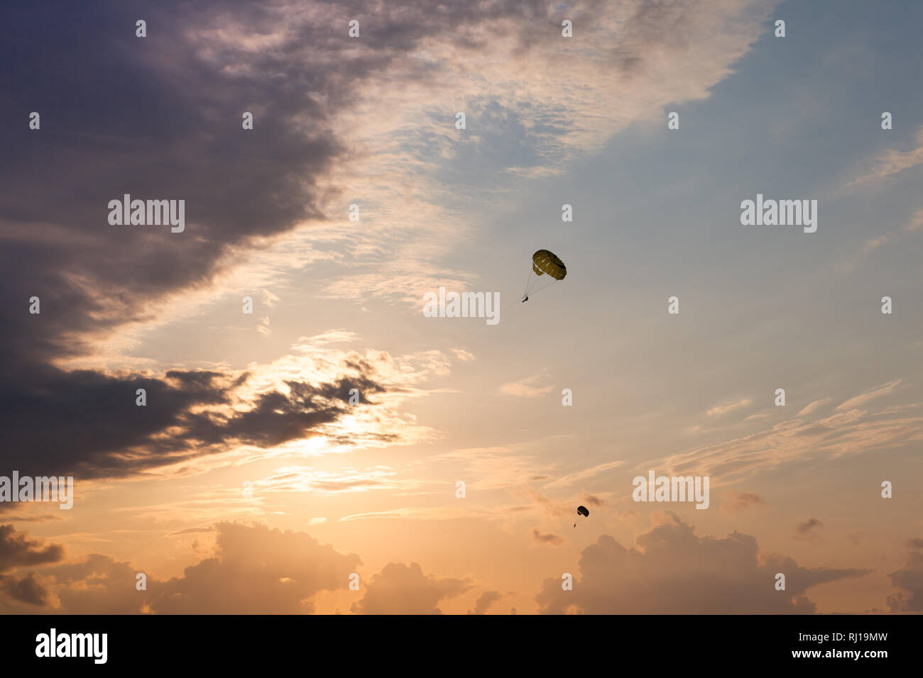 Dark silhouettes of flying parachutes on the sunset cloudy night sky ...