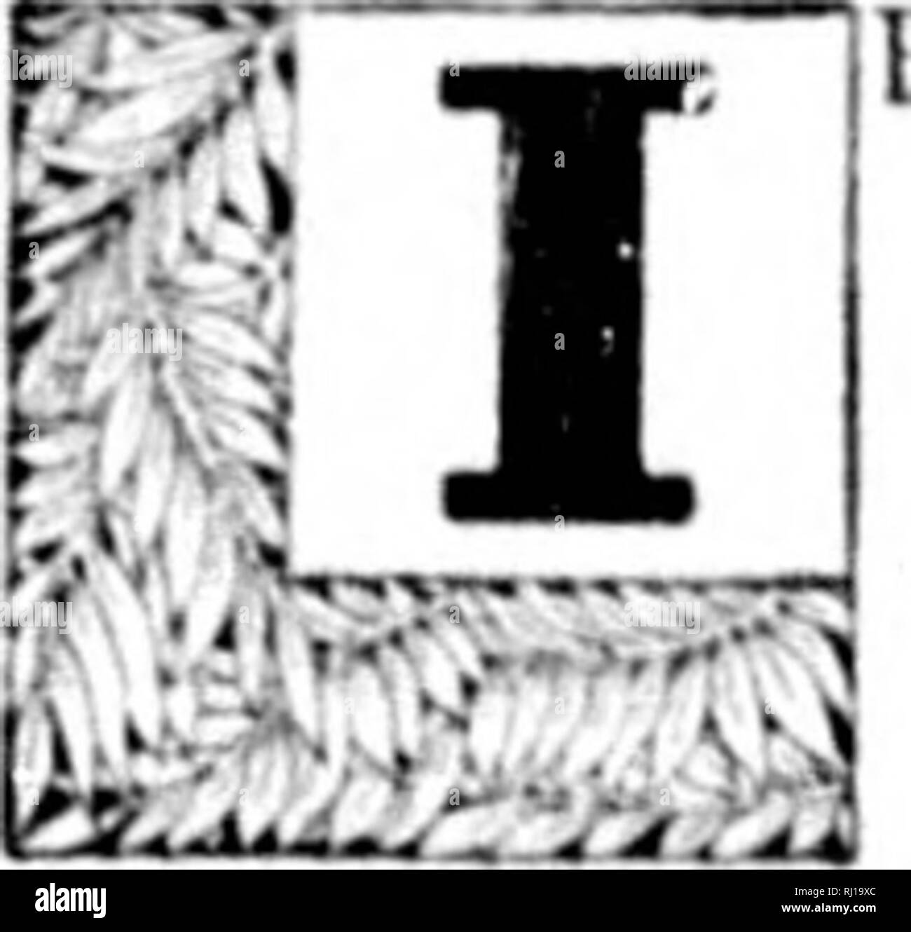 Lolim hi-res stock photography and images - Alamy