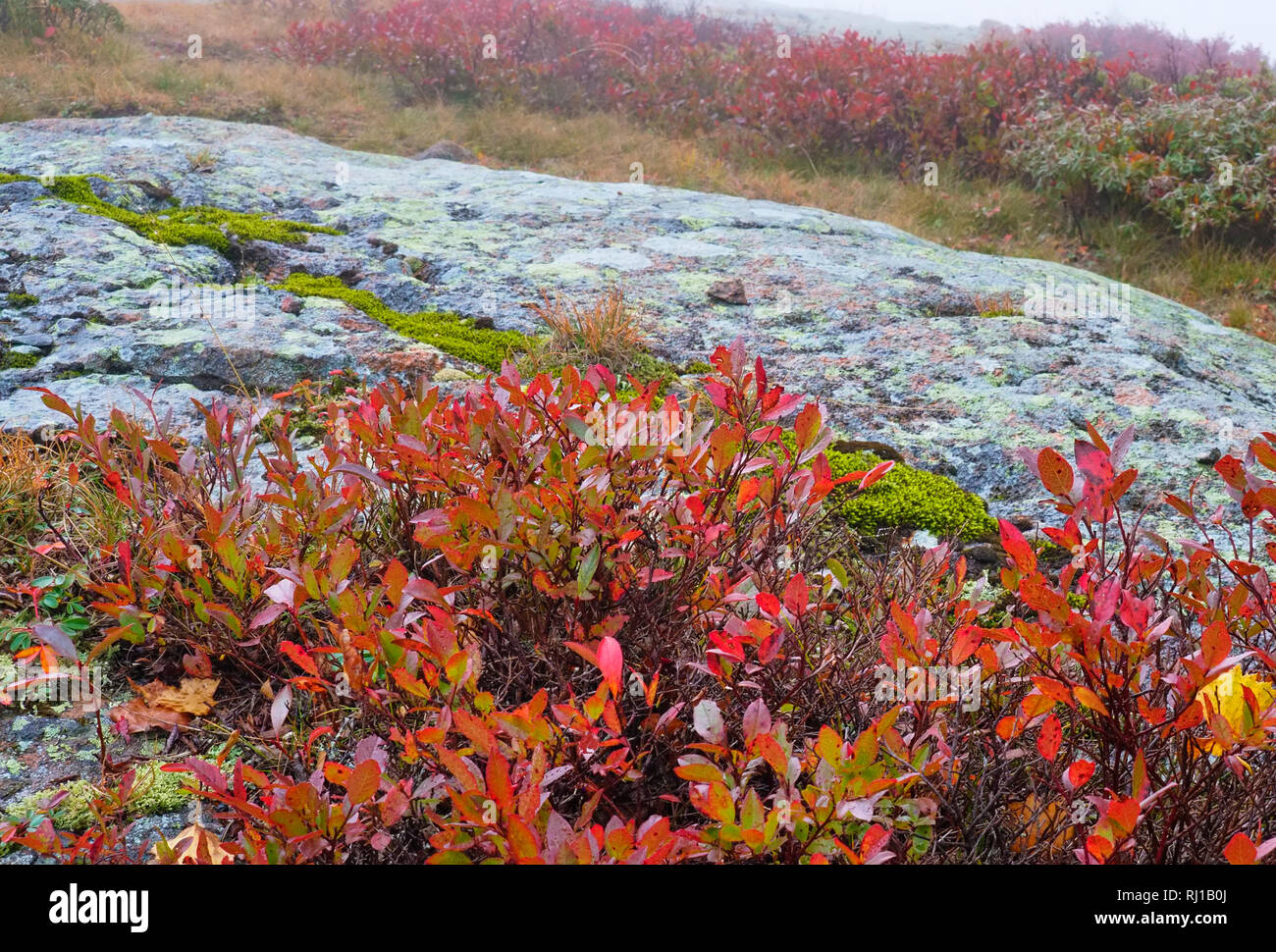 Cadillac Mountain, Acadia National Park, Maine, USA Stock Photo - Alamy