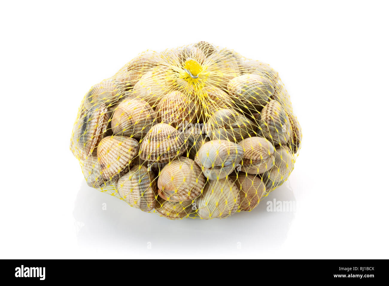 Saltwater fish atlantic coast Cut Out Stock Images & Pictures - Alamy