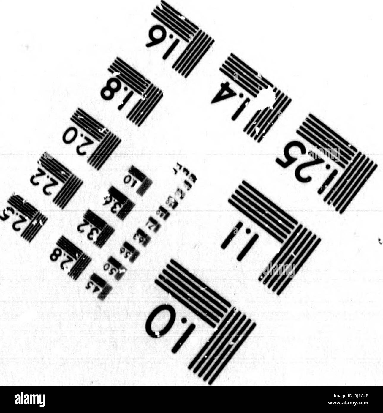 Gilbert west Cut Out Stock Images & Pictures - Alamy