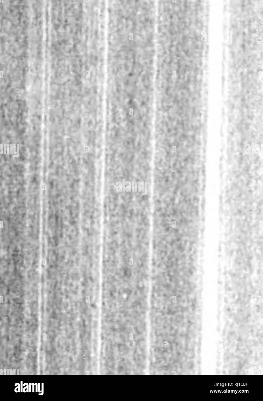 . The fishes of North and Middle America [microform] : a descriptive ...