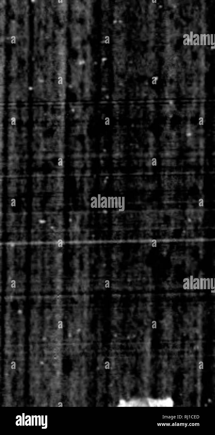 Compressed lips hi-res stock photography and images - Alamy