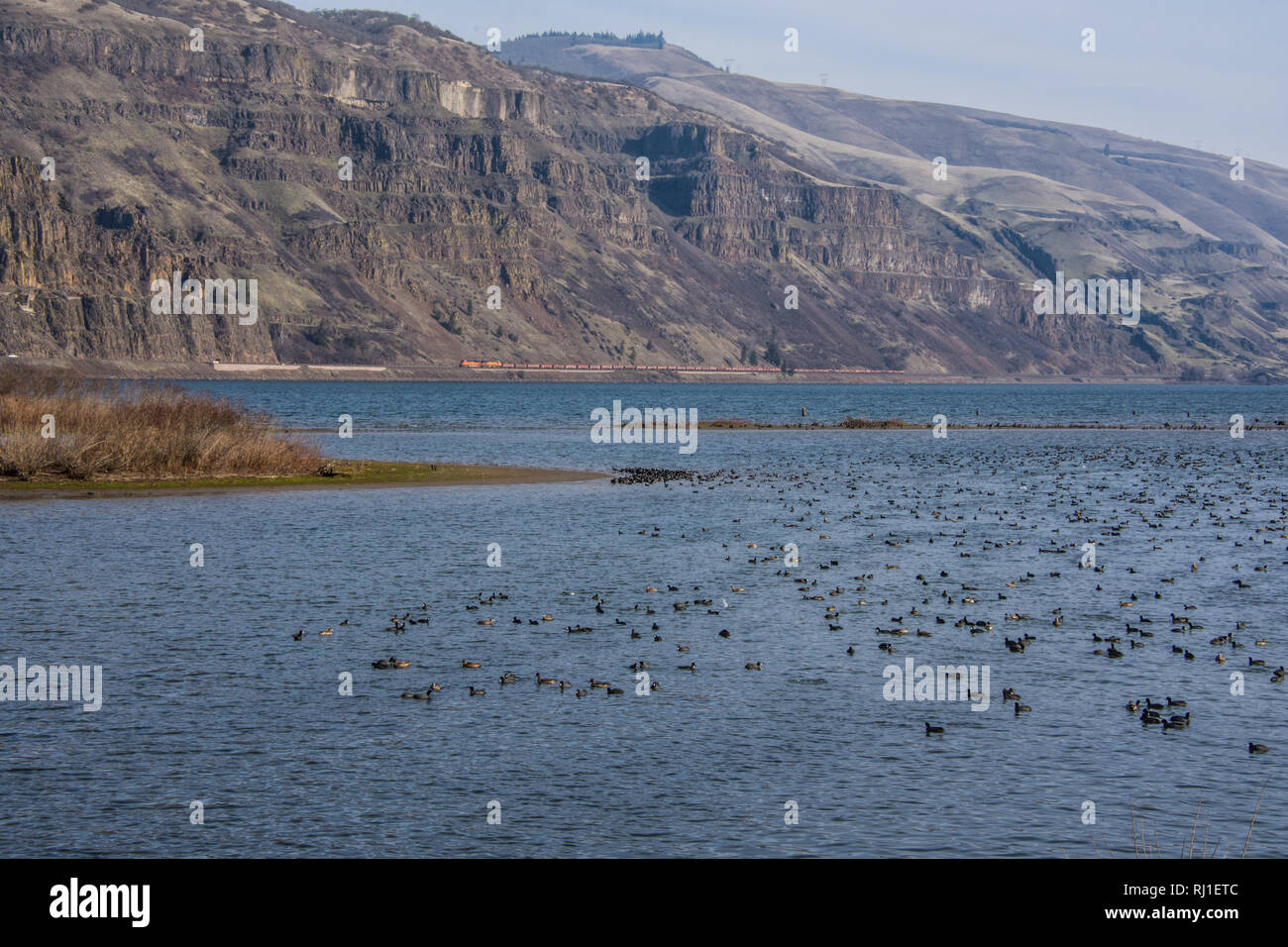 Columbia River Basalt Stock Photo - Alamy