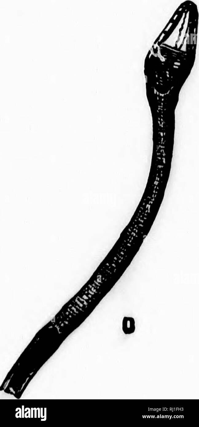 Grooves and furrows Black and White Stock Photos & Images - Alamy