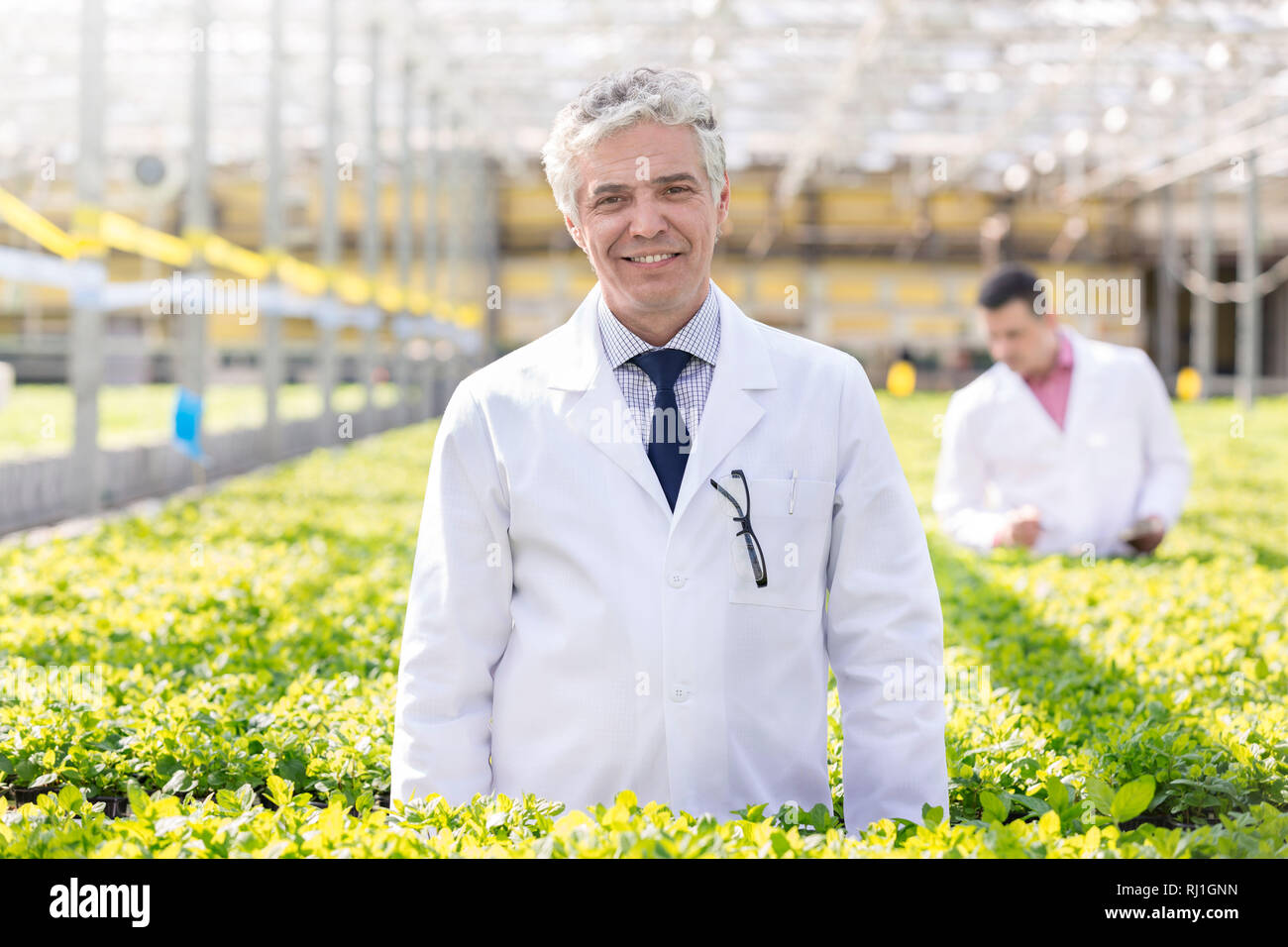 Portrait of smiling mature male botanist standing amidst herbs in plant ...