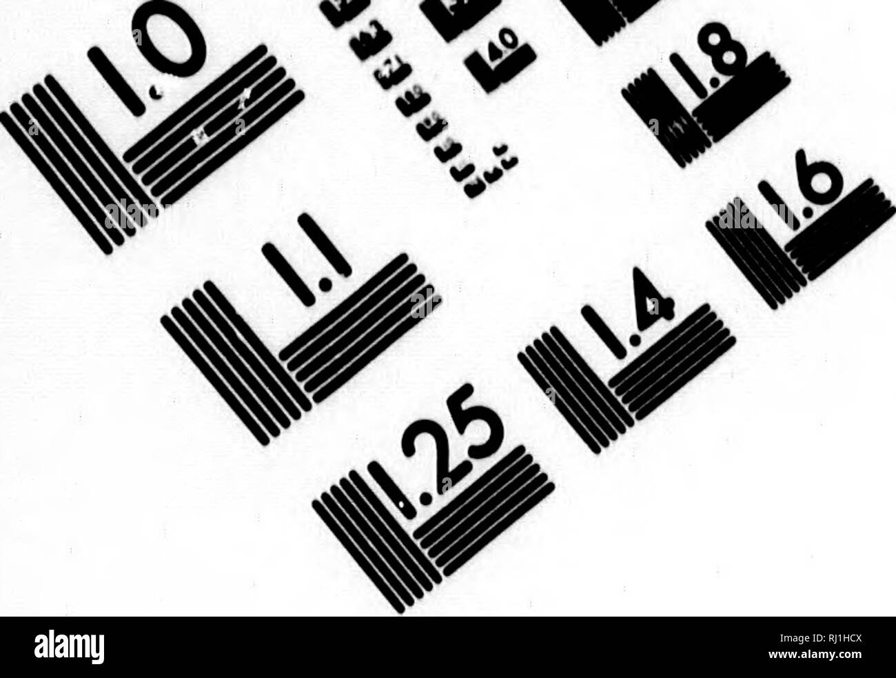 Nach dem 4 Black and White Stock Photos & Images - Alamy