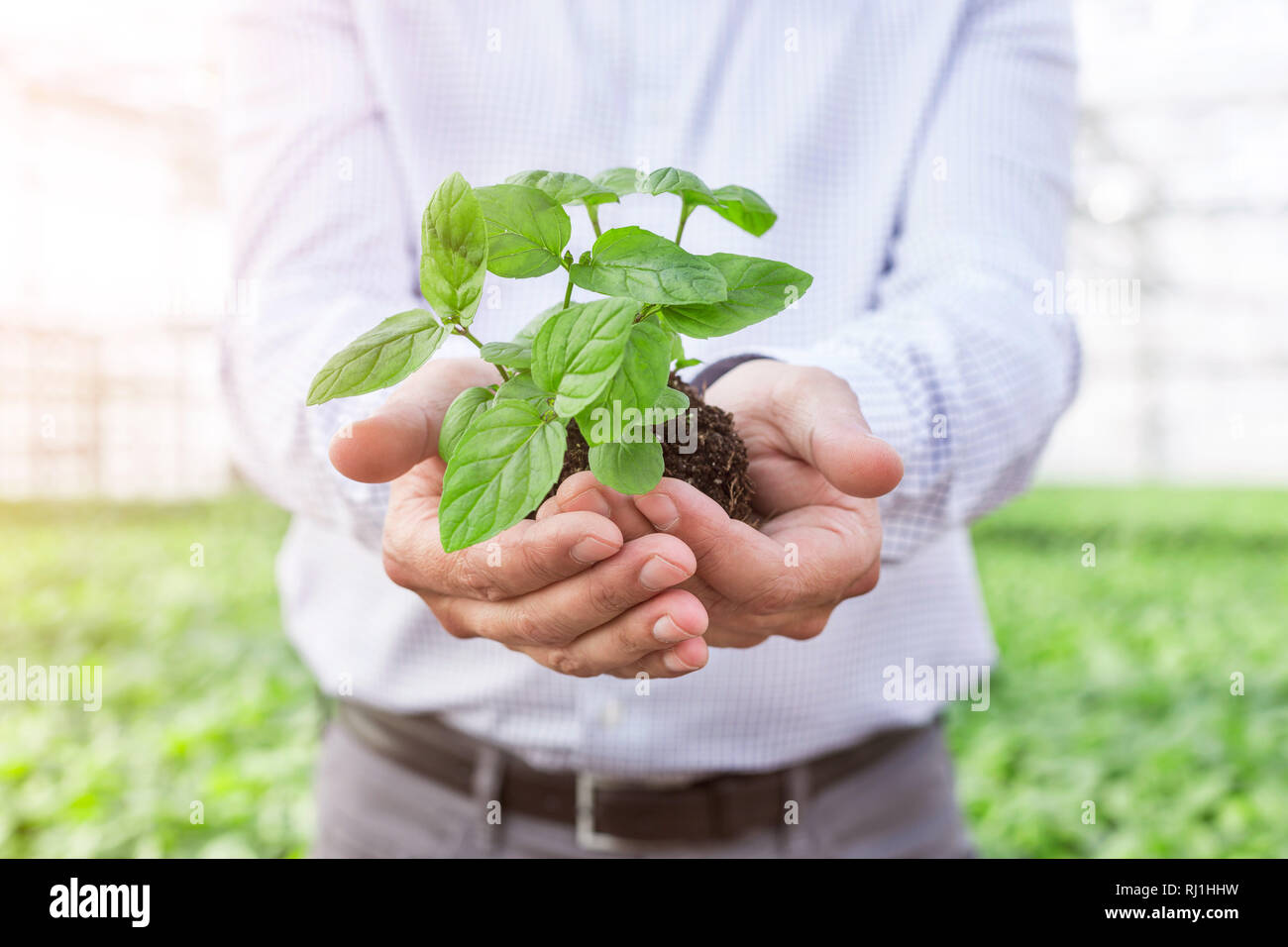 Plant nursery owner hi-res stock photography and images - Alamy
