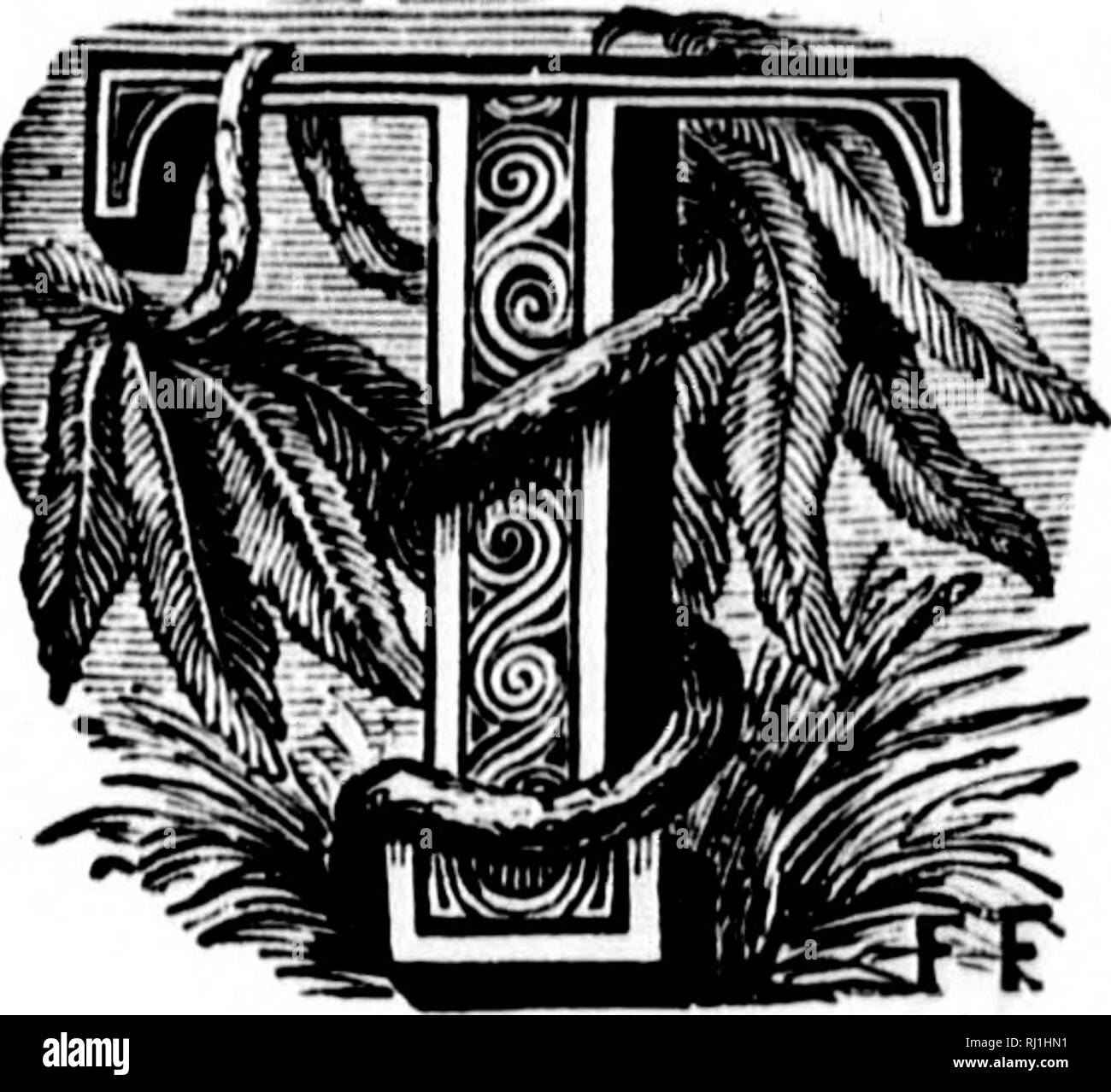 The foresters fleet hi-res stock photography and images - Alamy