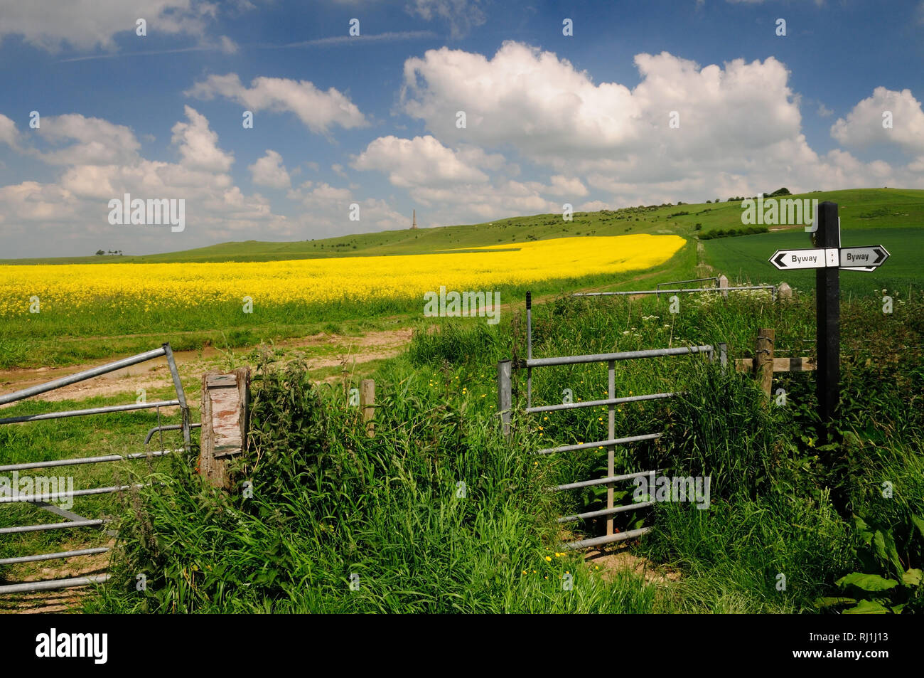 A byway junction near the Lansdowne Monument on Cherhill Hill (Oldbury ...
