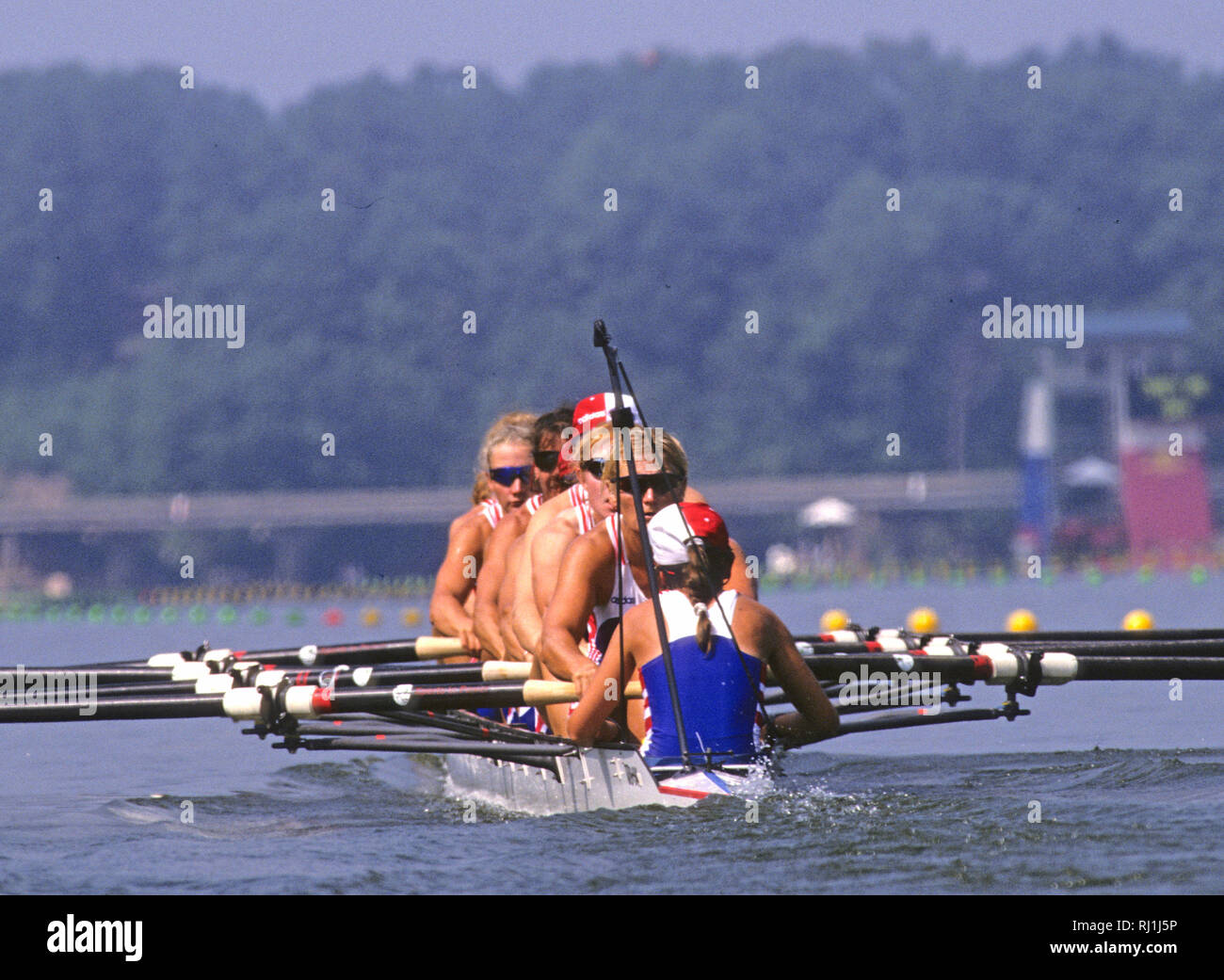 Alison gill and cox hi-res stock photography and images - Alamy