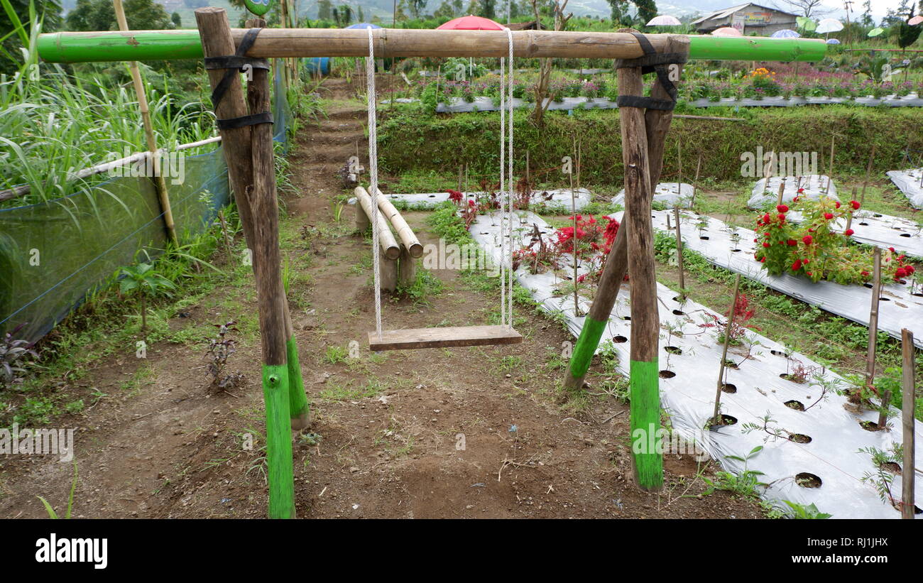 Bamboo swing hi-res stock photography and images - Alamy