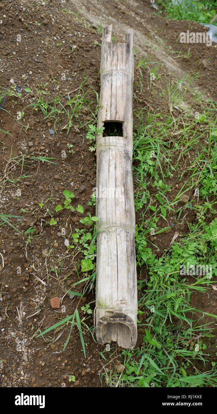 Bamboo pieces hi-res stock photography and images - Alamy