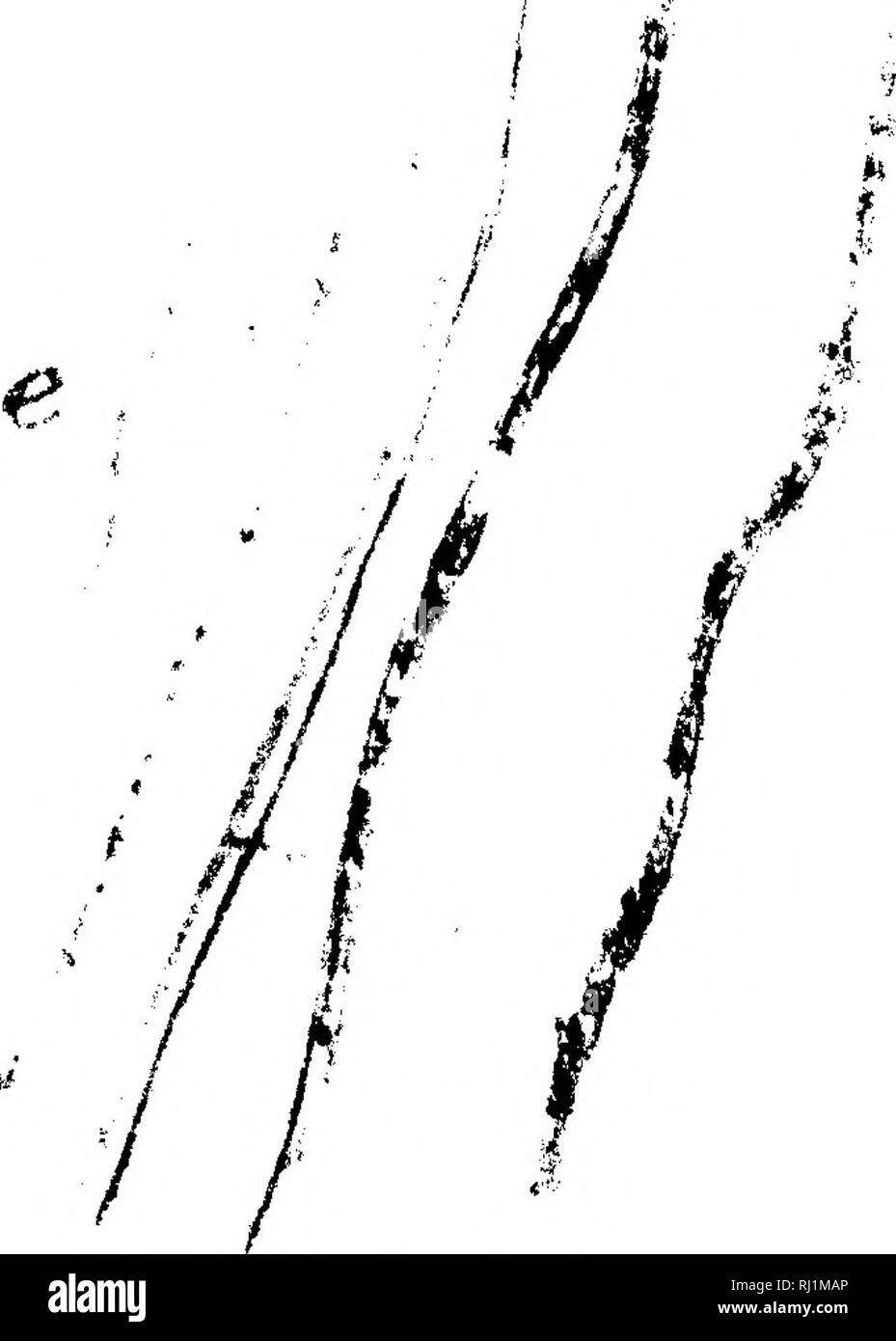 Bearing upon Cut Out Stock Images & Pictures - Alamy