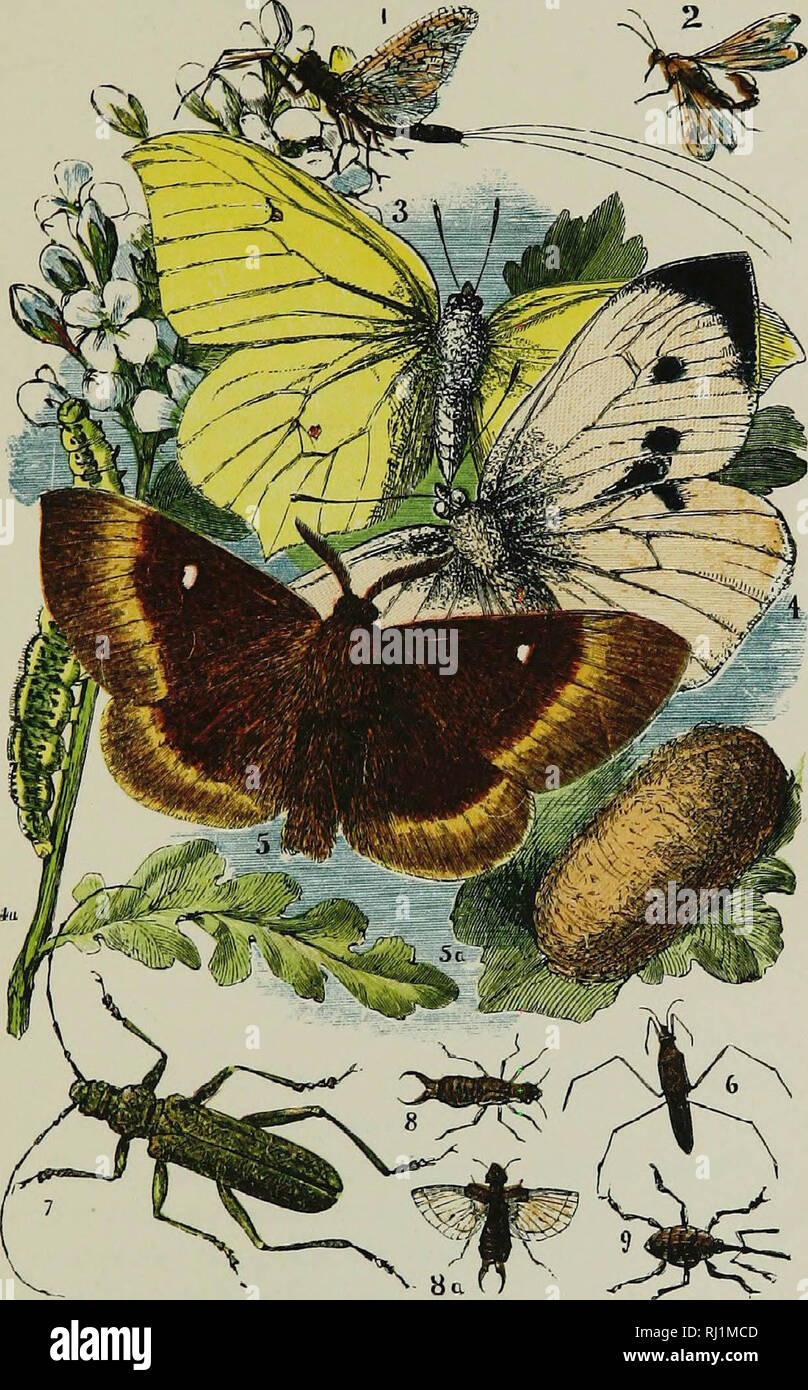 Common objects hi-res stock photography and images - Alamy