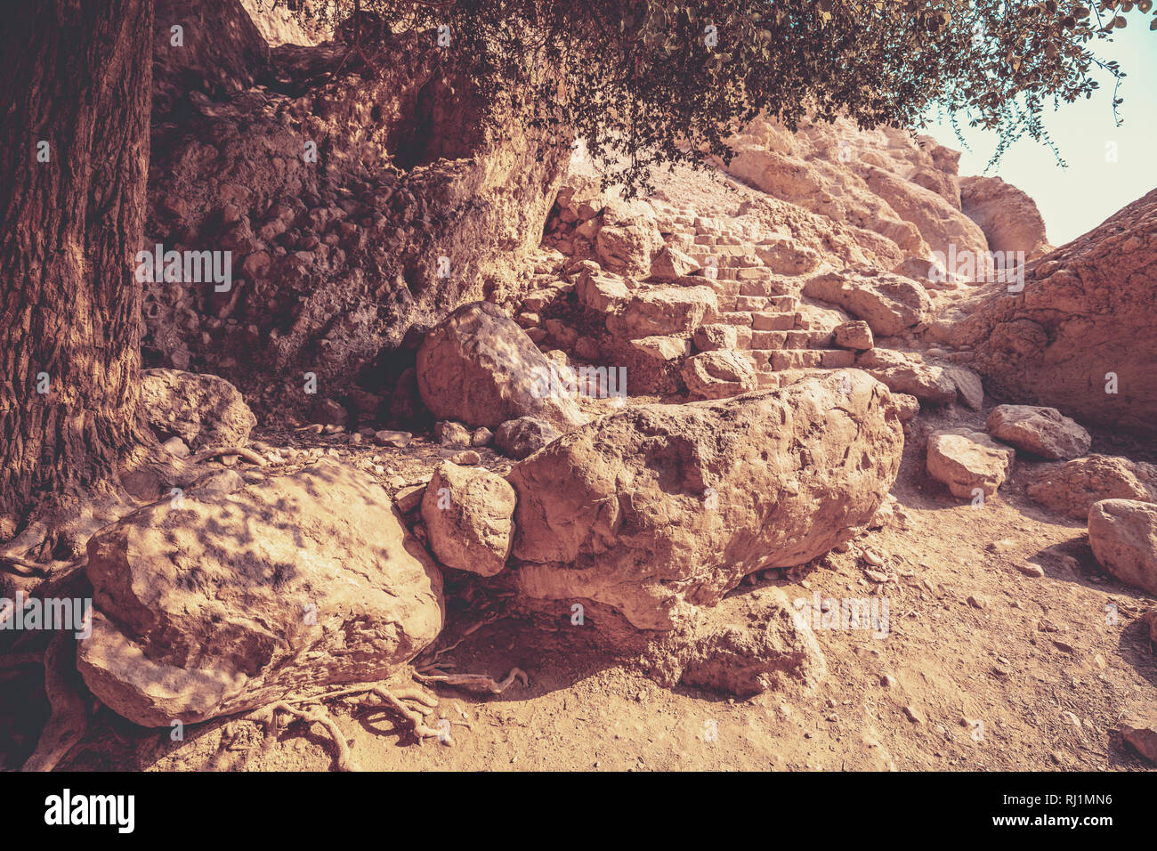 Hiking path in the nature reserve Ein Gedi. Israel. Oasis in the desert ...