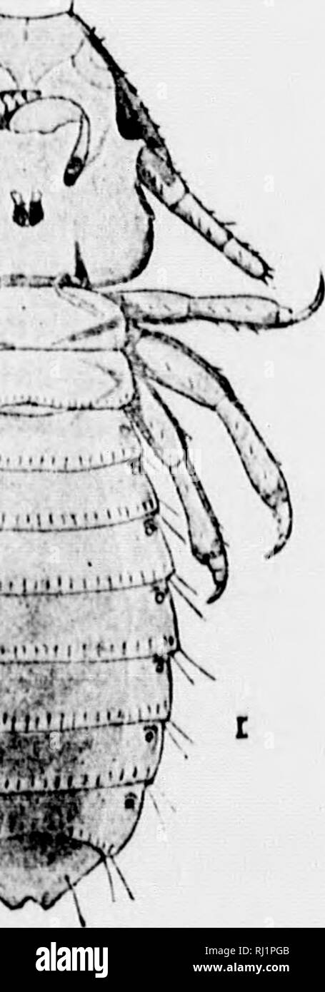 H lle Black and White Stock Photos & Images - Alamy