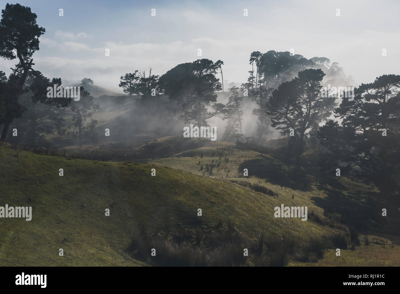 Landscape in hobbiton shire hi-res stock photography and images - Alamy