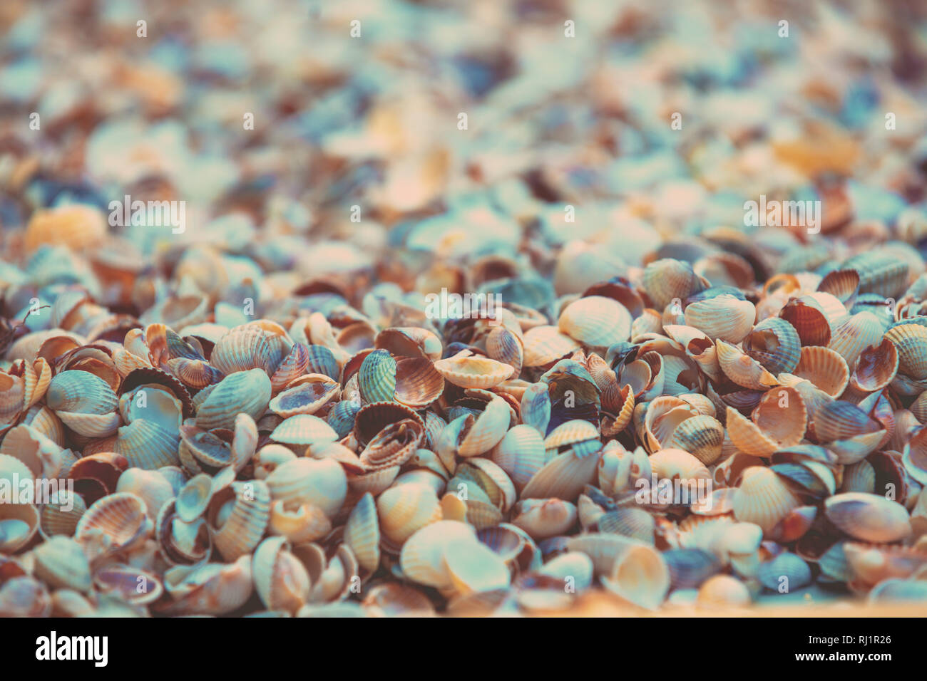 Natural abstract vintage colorful shells background Stock Photo - Alamy