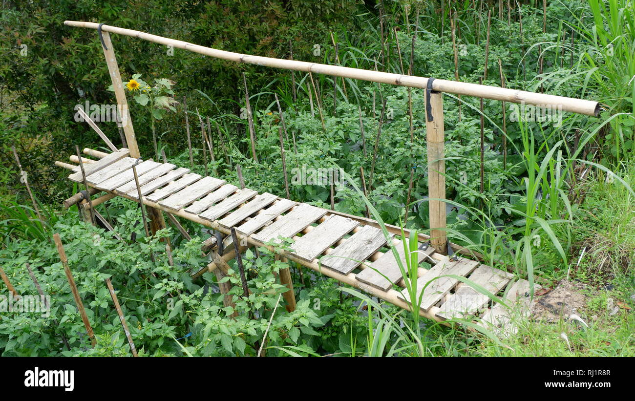small bamboo bridge, across the river in the park Stock Photo - Alamy