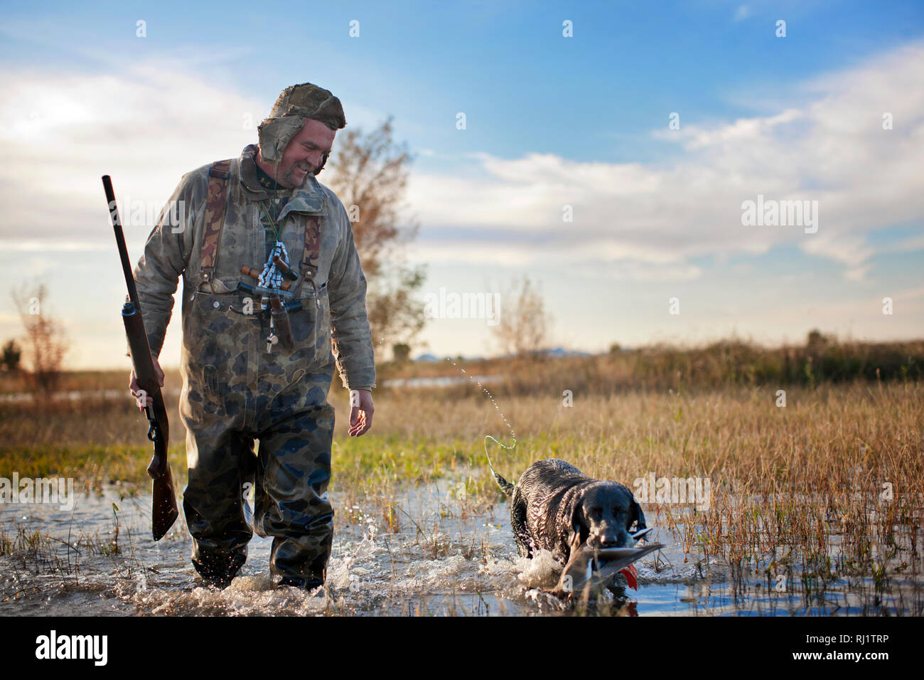 Duck hunter walking through a shallow lake alongside his dog who is ...