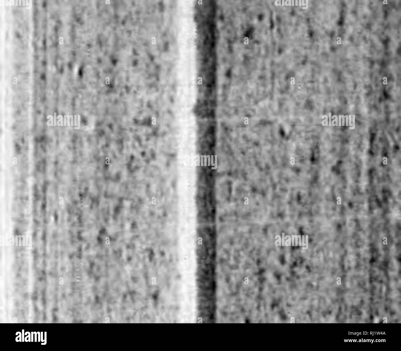 Eeil hi-res stock photography and images - Alamy