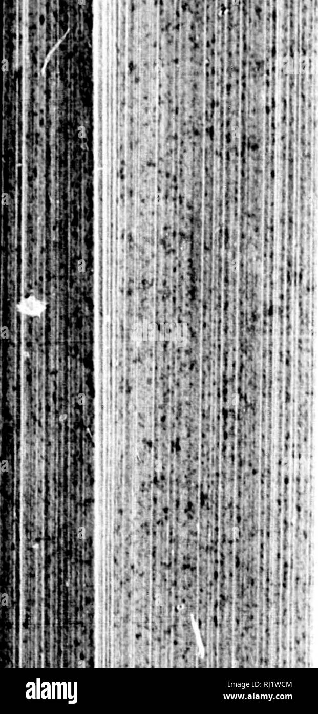 Uuuu hi-res stock photography and images - Alamy