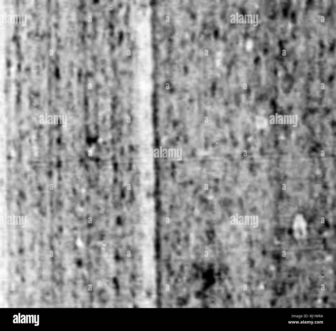 Carl robert osten sacken hi-res stock photography and images - Alamy