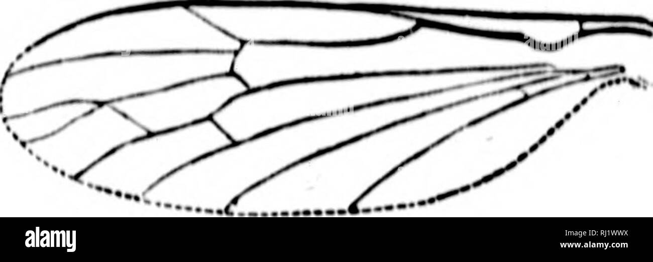 Veins hi res Black and White Stock Photos & Images - Alamy