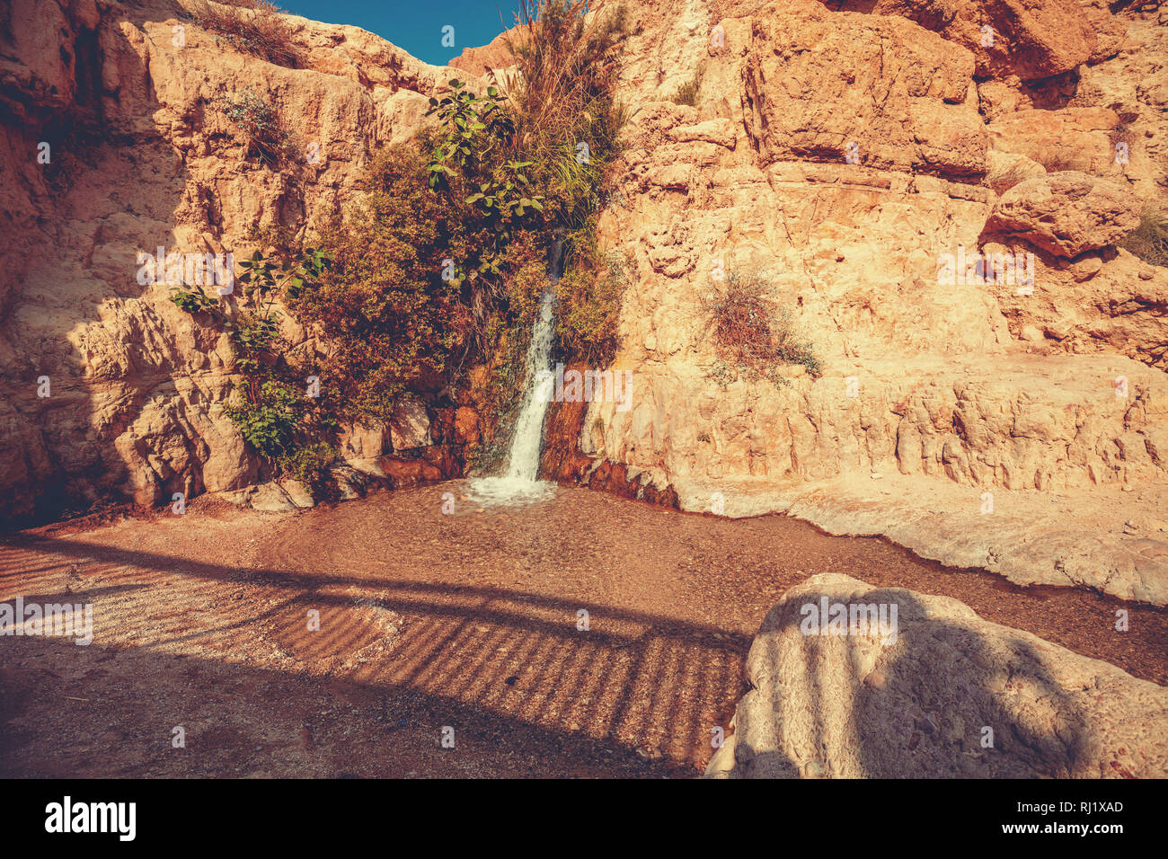 Waterfall in the nature reserve Ein Gedi. Israel. Oasis in the desert ...
