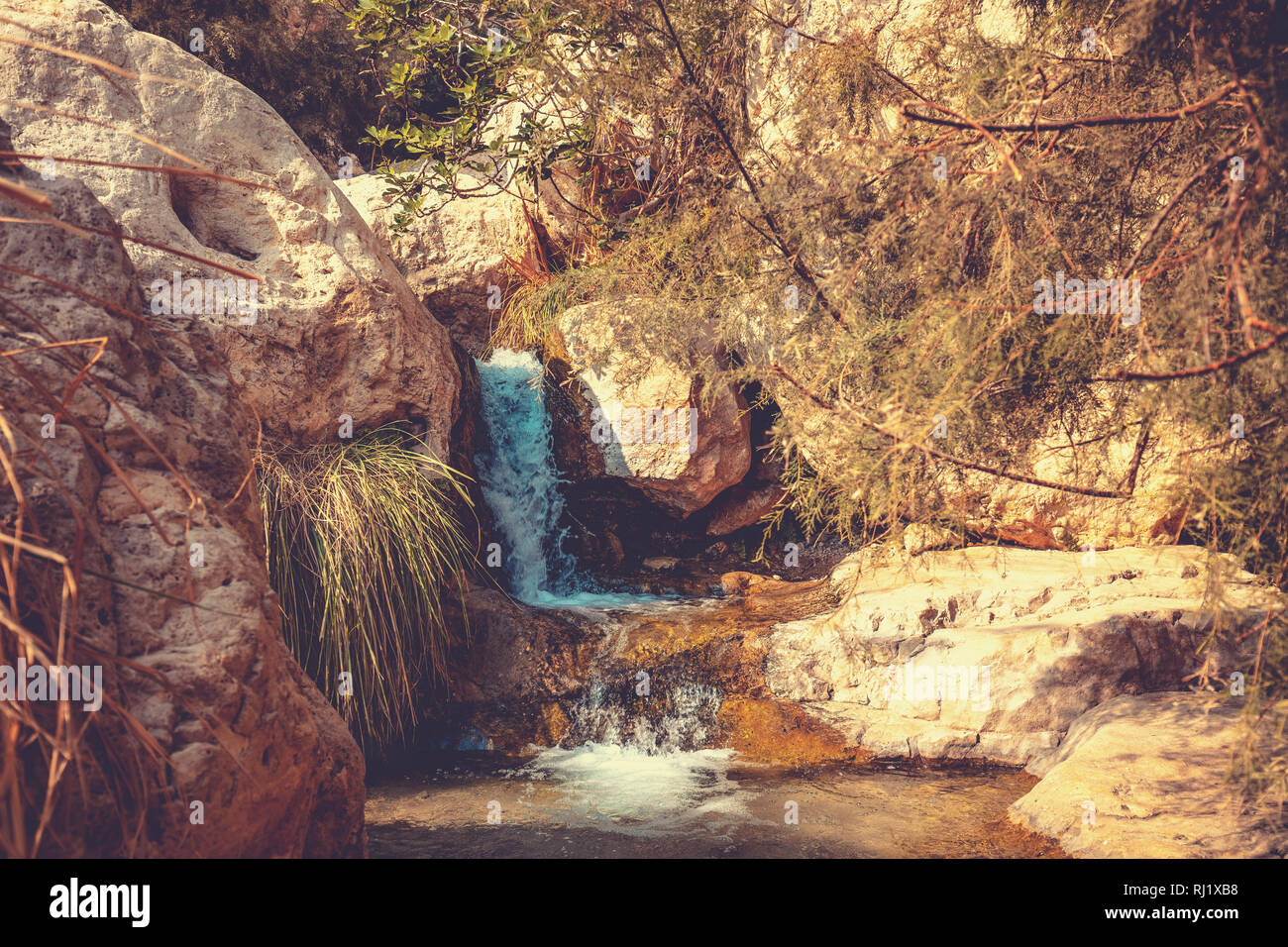 Waterfall in the nature reserve Ein Gedi. Israel. Oasis in the desert ...