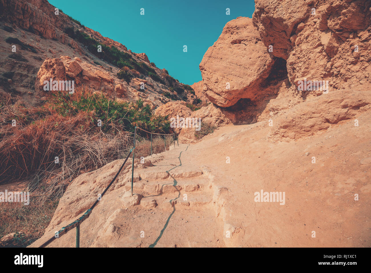 Hiking path in the nature reserve Ein Gedi. Israel. Oasis in the desert ...