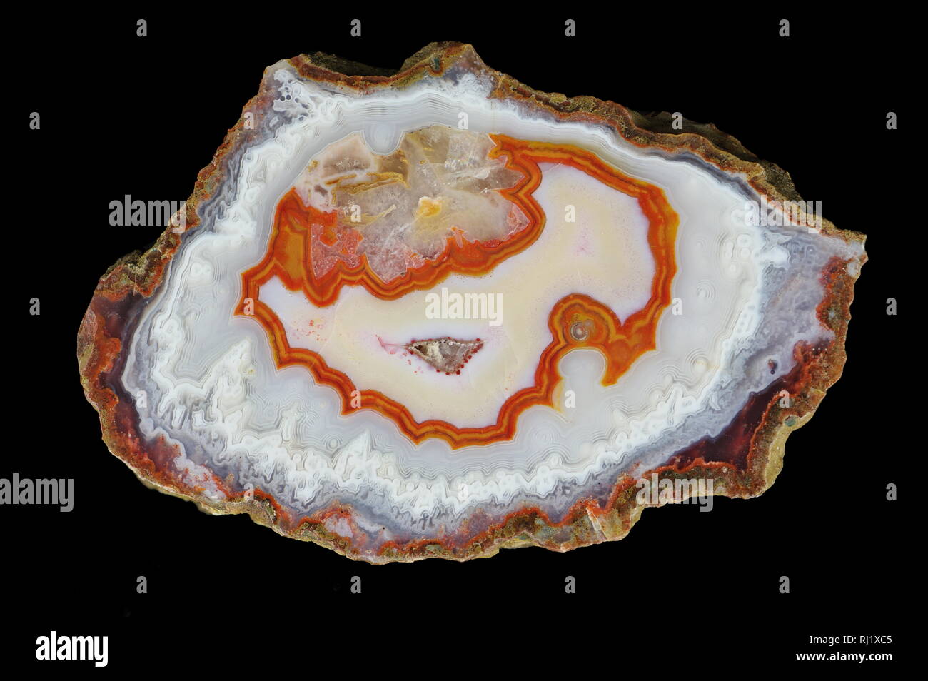 A cross-section of agate.In the outer part a snow-white chalcedony is ...