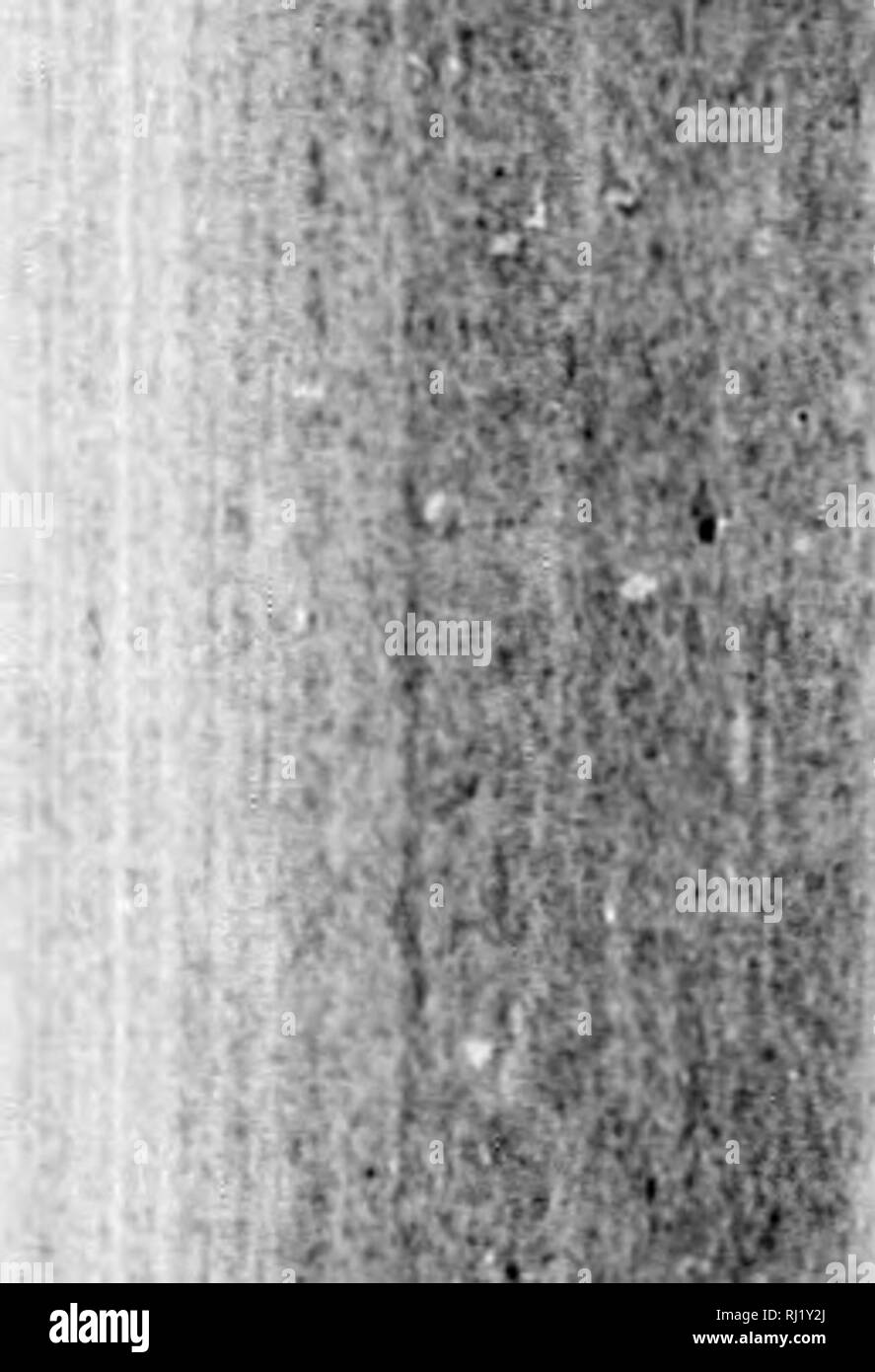 Open cage formed Black and White Stock Photos & Images - Alamy