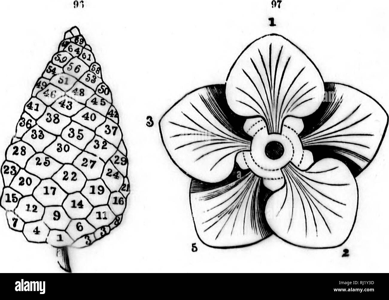 4 rows vertical Black and White Stock Photos & Images - Alamy