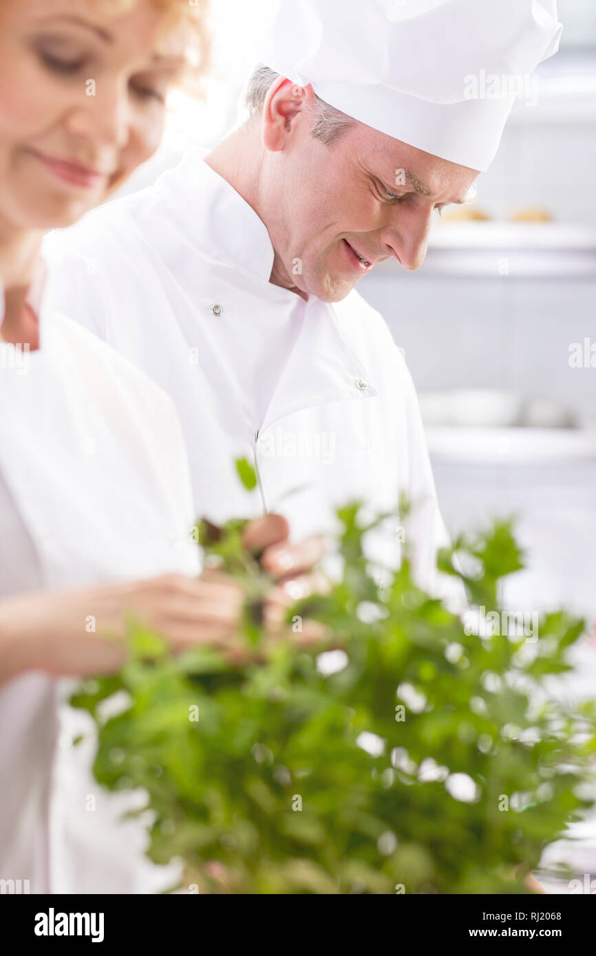 Mature chefs cooking in kitchen at restaurant Stock Photo - Alamy