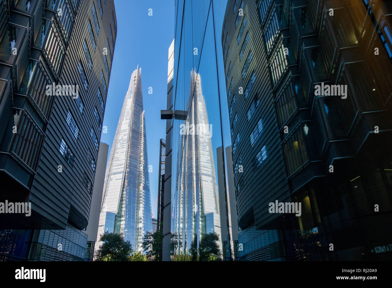 The Shard / Shard London Bridge seen from More London Place. Southwark ...