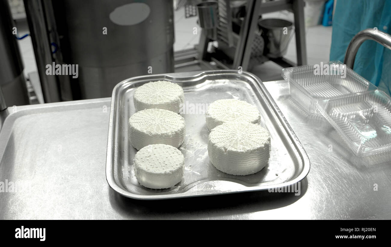 Wheels of traditional cottage cheese Stock Photo - Alamy