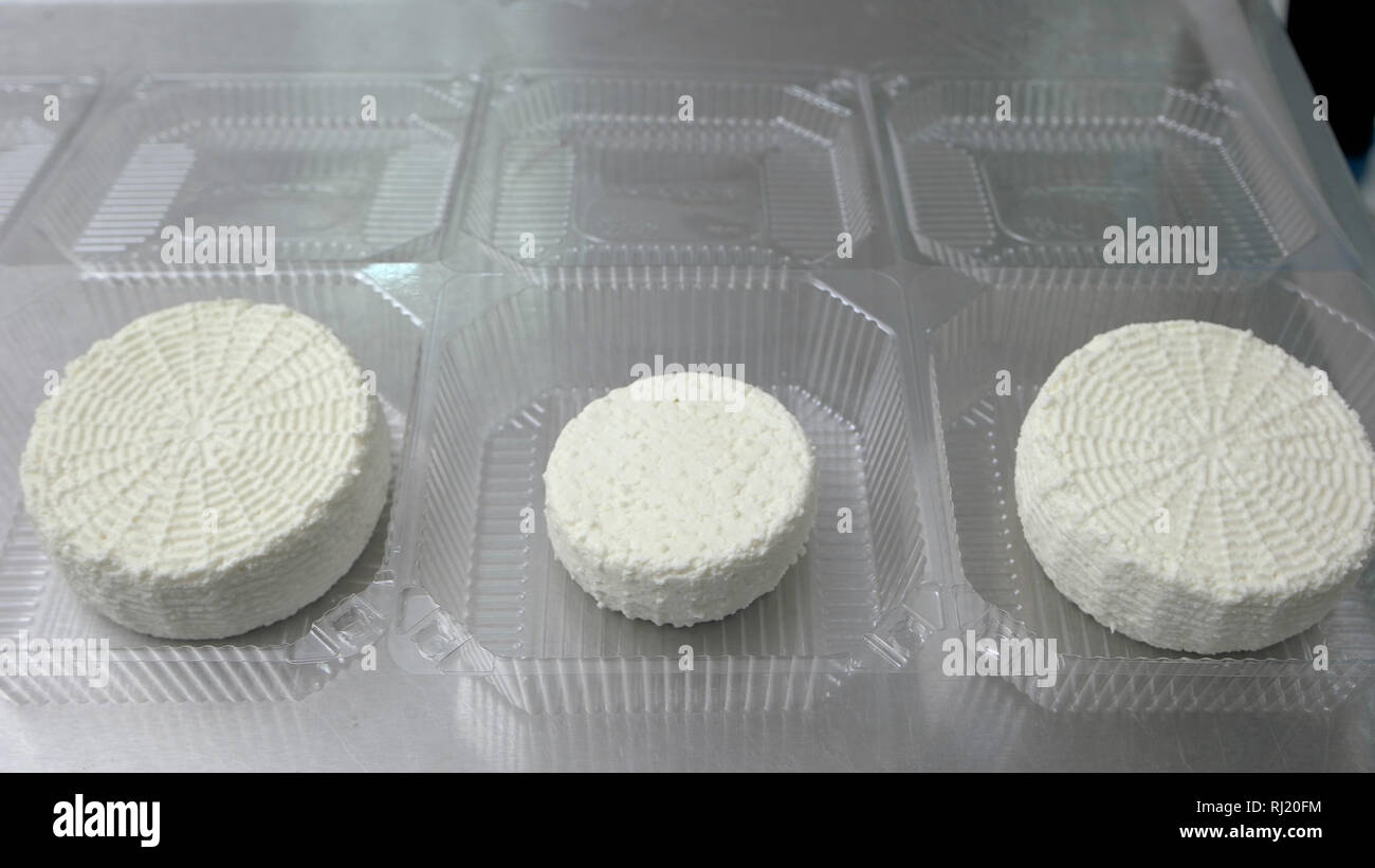 Fresh white cheese wheels Stock Photo - Alamy