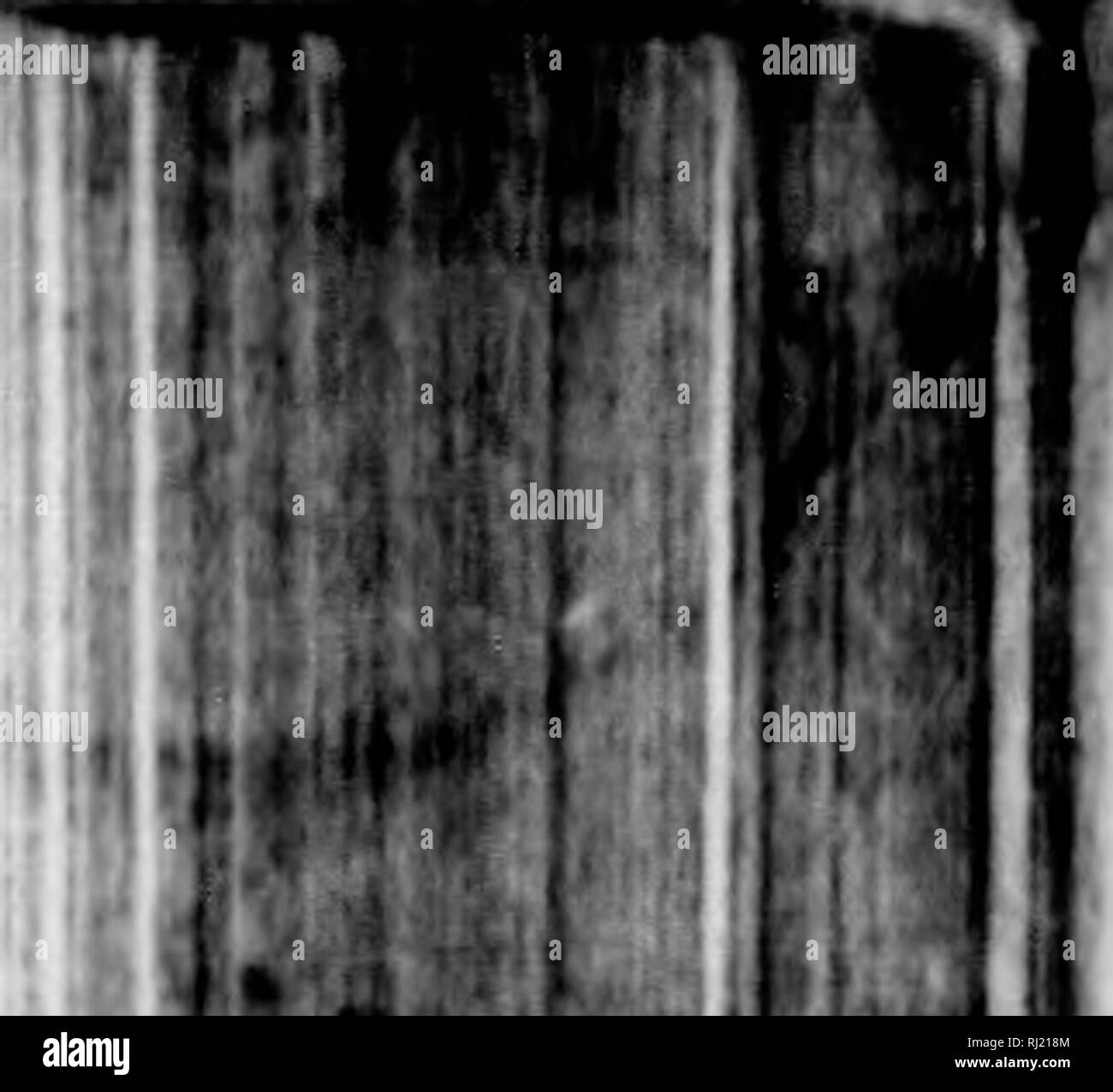 340 degrees hi-res stock photography and images - Alamy
