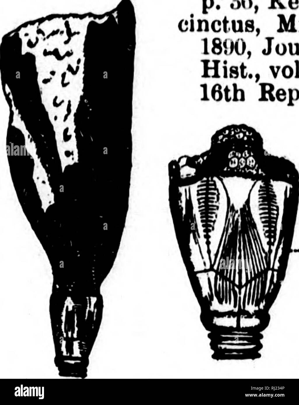 Geo hist hi-res stock photography and images - Alamy