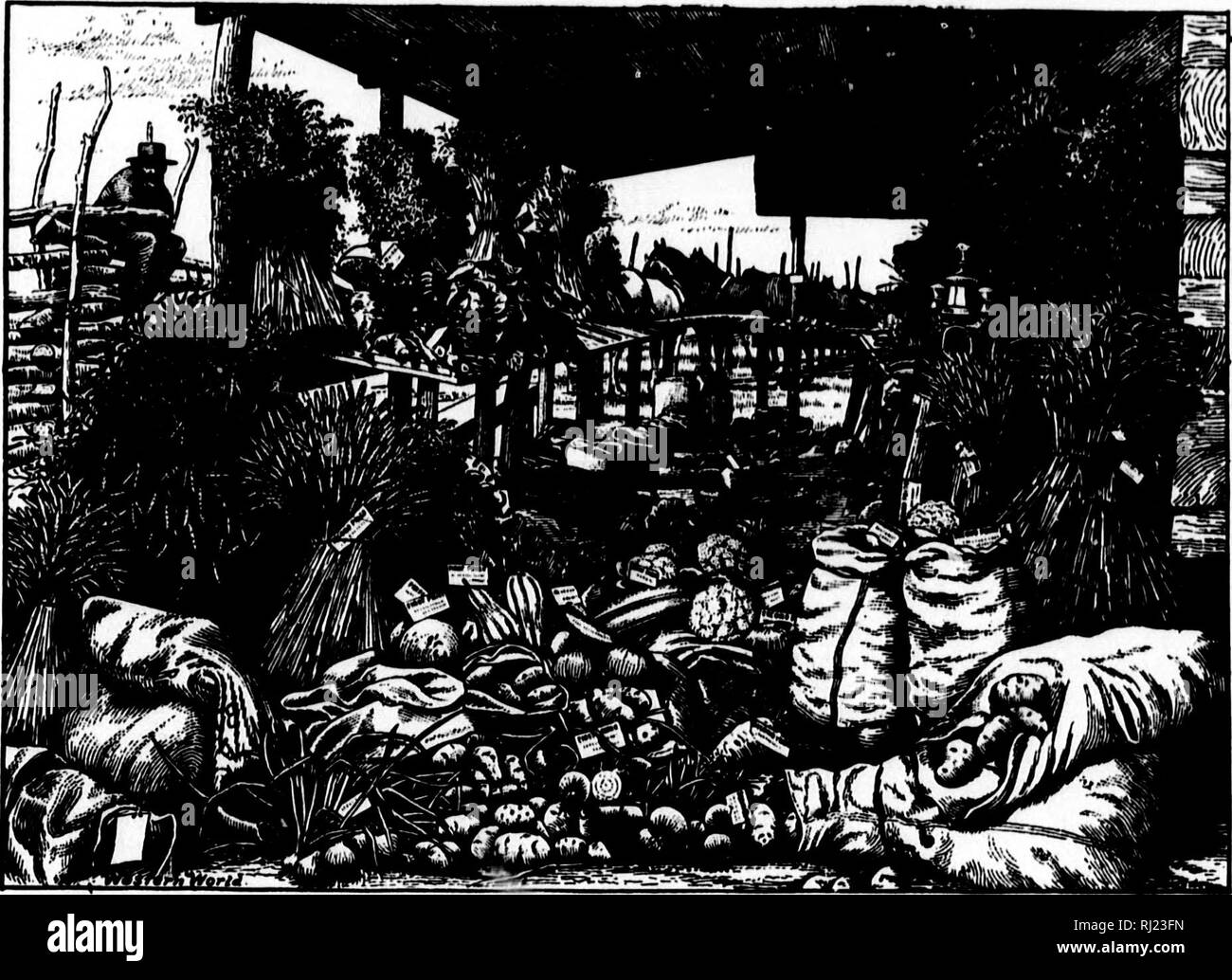 Kinistino hi-res stock photography and images - Alamy