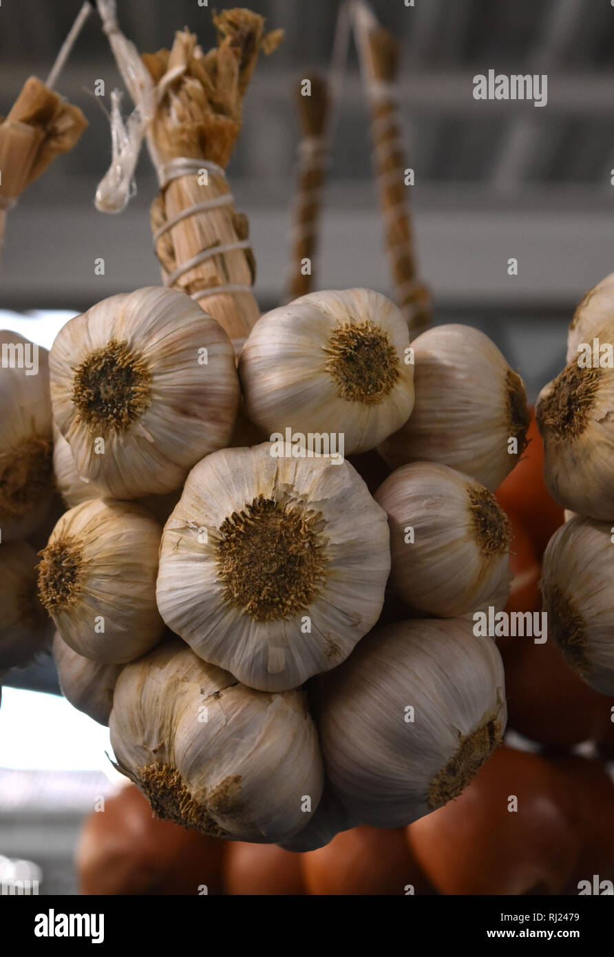 Market with garlic bulbs braided together and hanging Stock Photo - Alamy